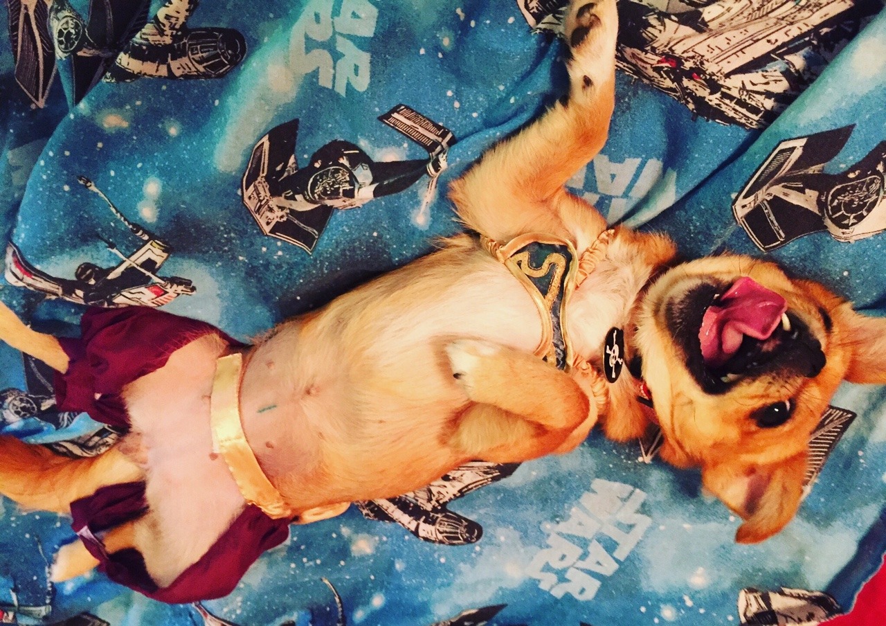 Mi Vida Loca On Tumblr