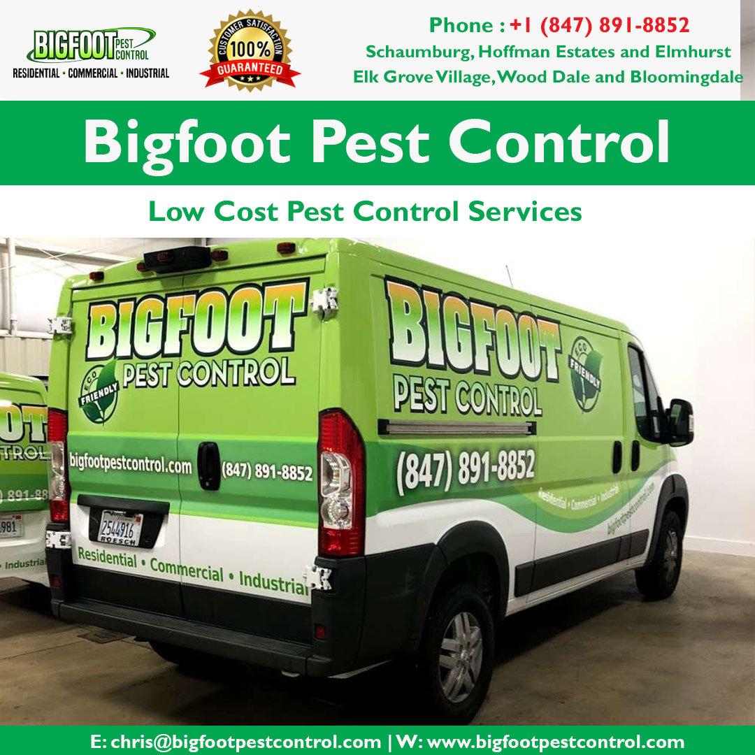 Bigfoot Pest Control On Tumblr