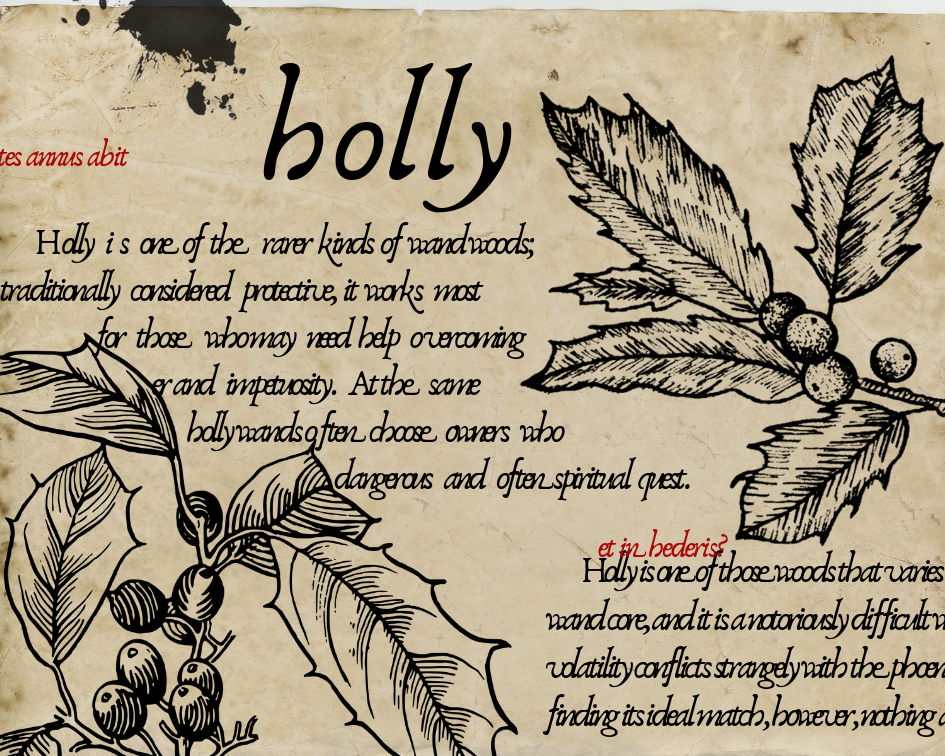 Holly wood wand store