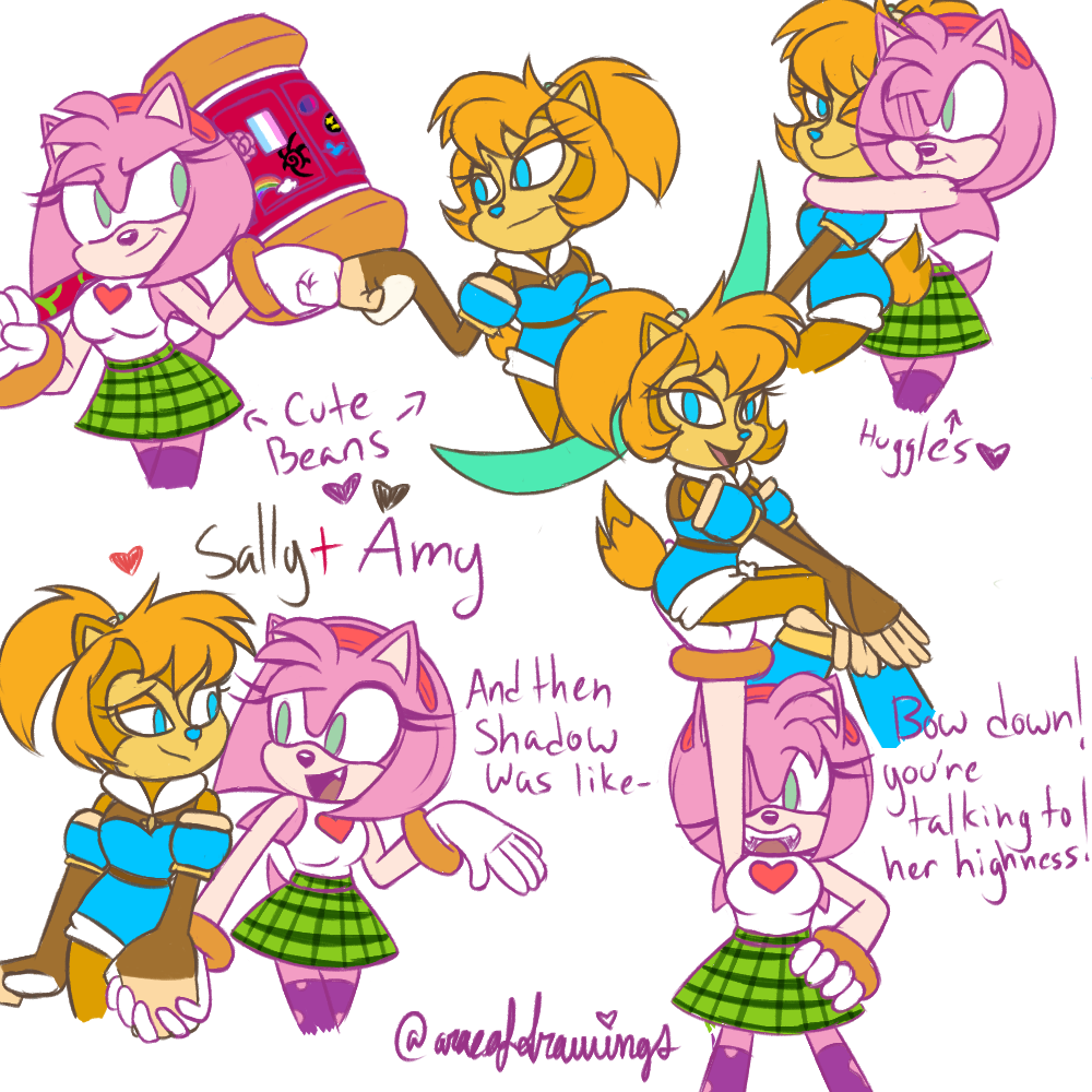 Sonic And Amy And Shadow And Sally