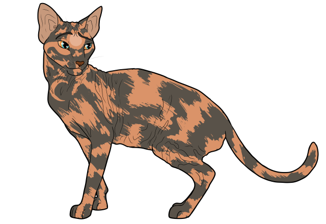 Some drawings of some concepts from my PO3 AU! Cultist leader Sol Spy Ivypool Medicine cat ...