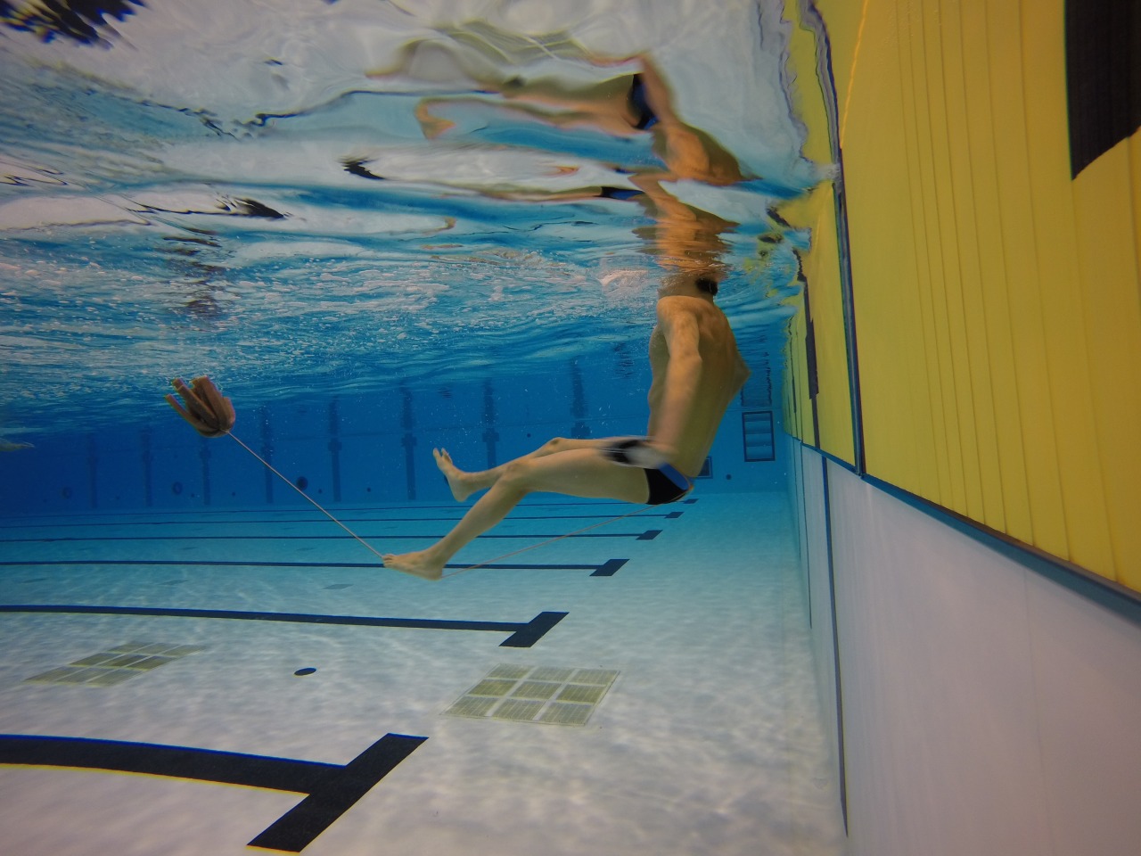 coachrushton.ca — Sponges for resisted aerobic swimming coachrushton.ca — Sponges for resisted aerobic swimming