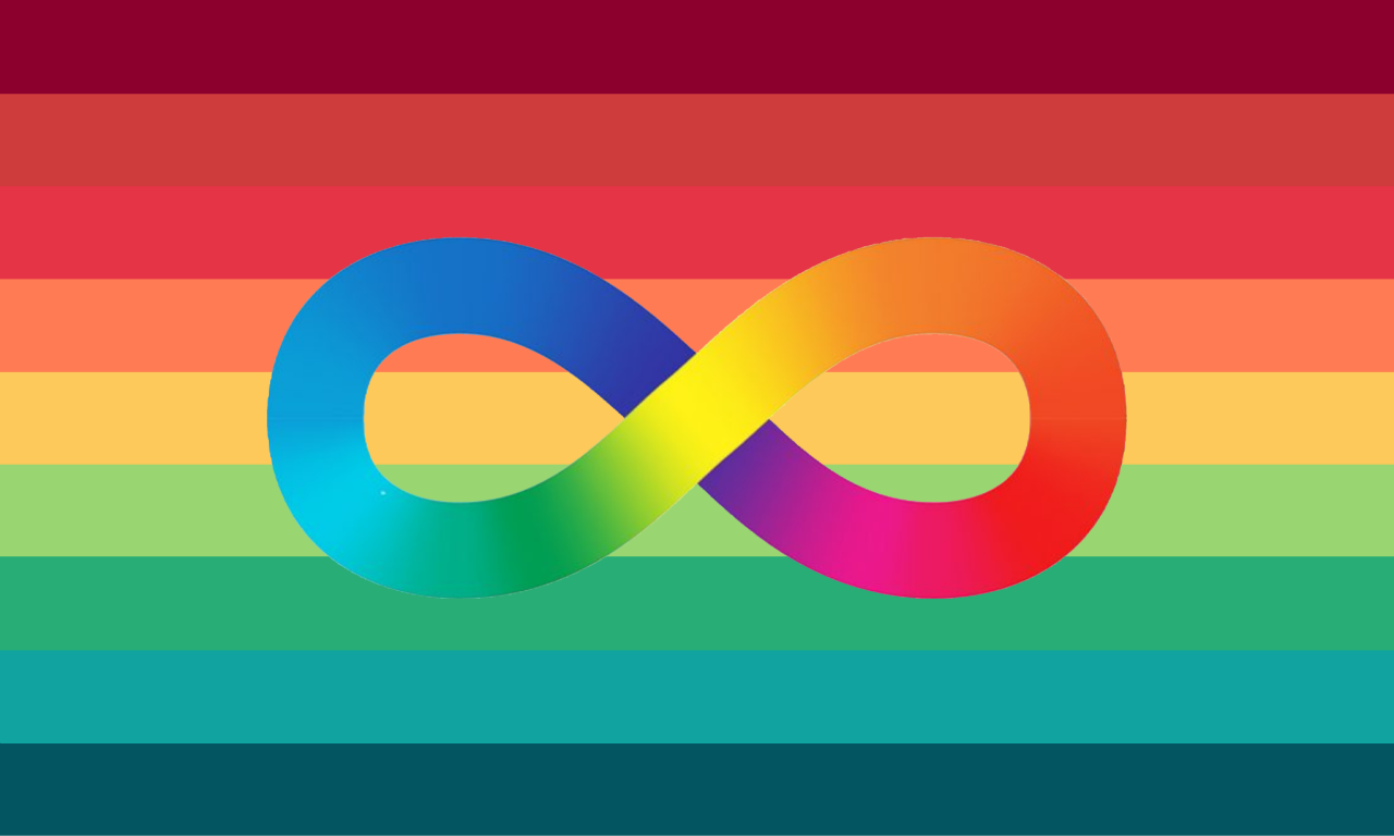 Biggest Snom Fan โ Cptsd Autism Adhd Combination Pride Flag
