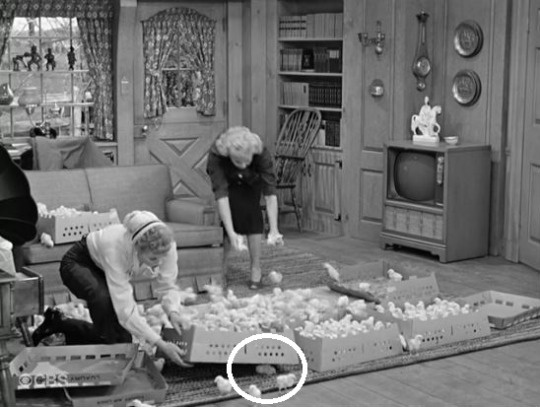 Papermoon Loves Lucy On Tumblr