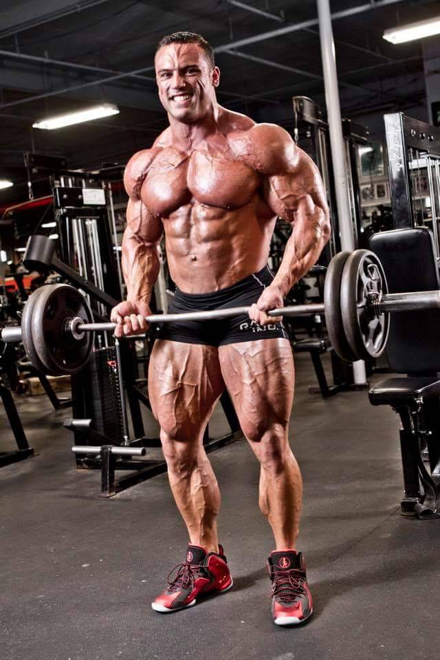 Bodybuilder and Muscle Men — wrestlehead: Nick Trigili Bodybuilder and Muscle Men — wrestlehead: Nick Trigili