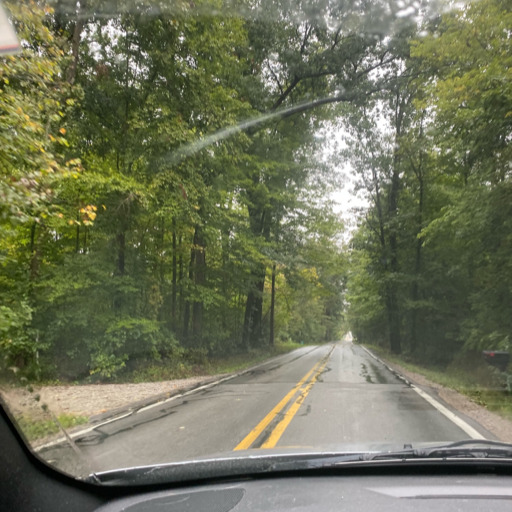 Kirby Stan/Shark Enthusiast @poyo-slime - Tumblr Blog | Tumlook