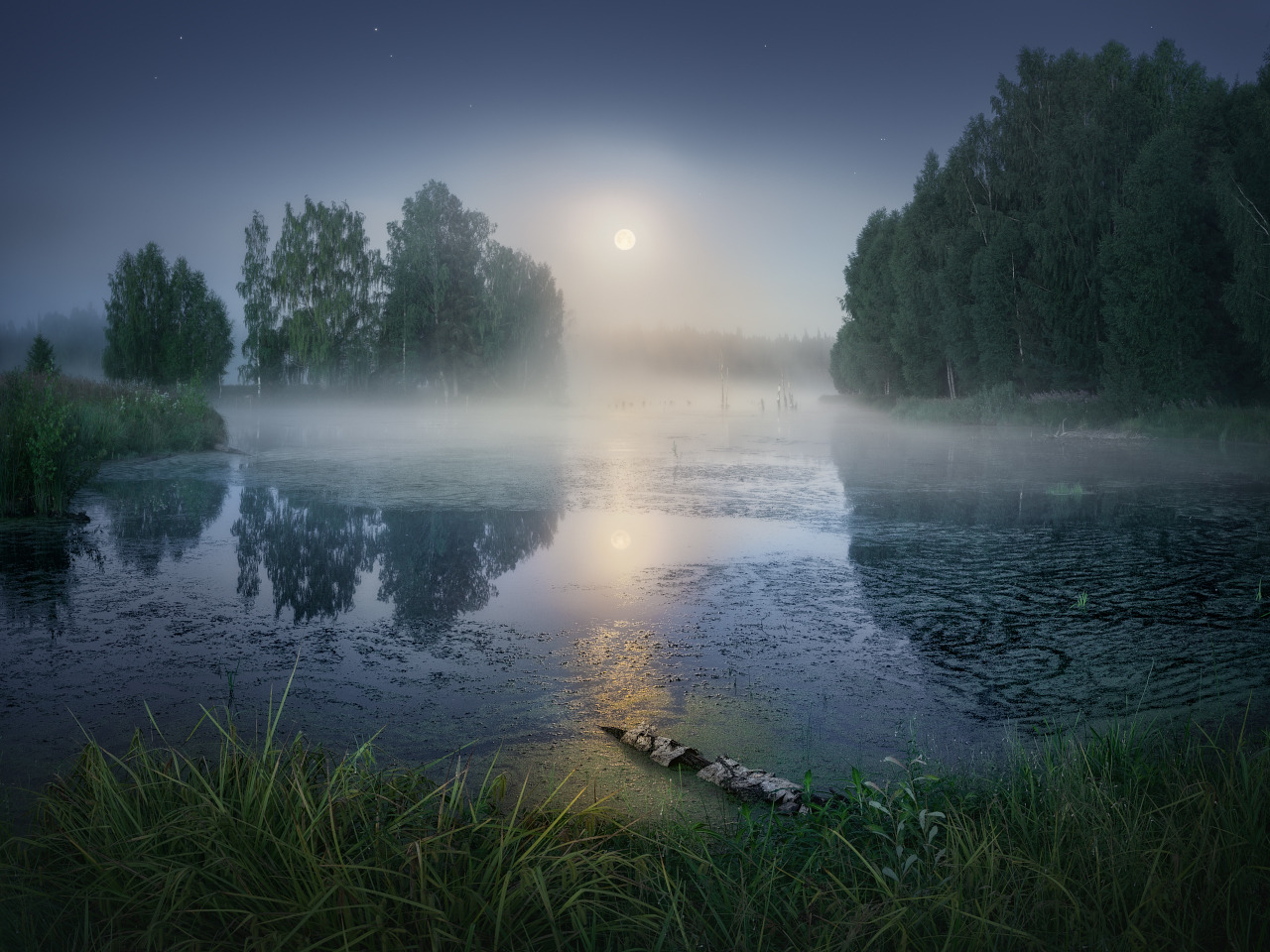 expressions-of-nature, Moon Path by Dmitry Medyancev expressions-of-nature, Moon Path by Dmitry Medyancev