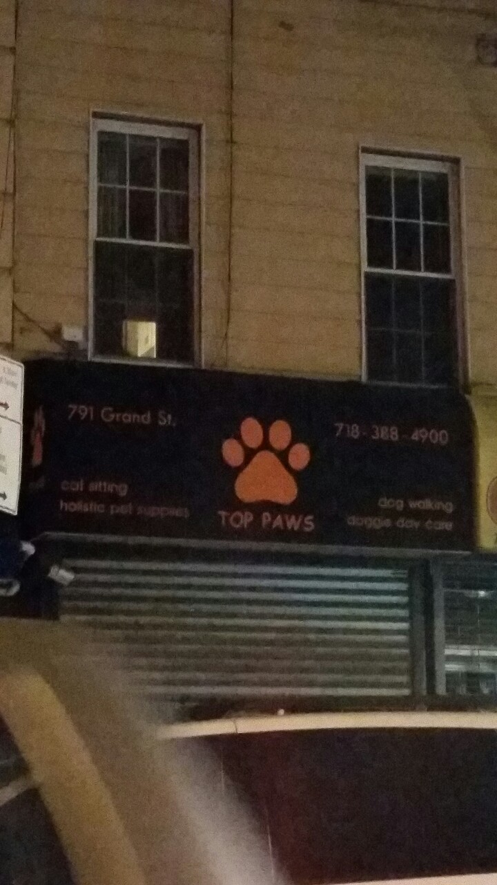 Businesses with meme fonts Businesses with meme fonts