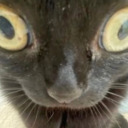 @sael-writing on Tumblr