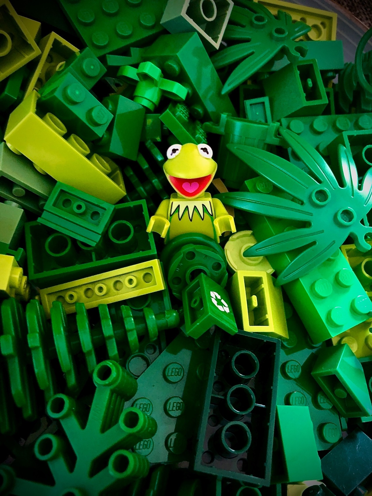 Bricks And Pics On Tumblr