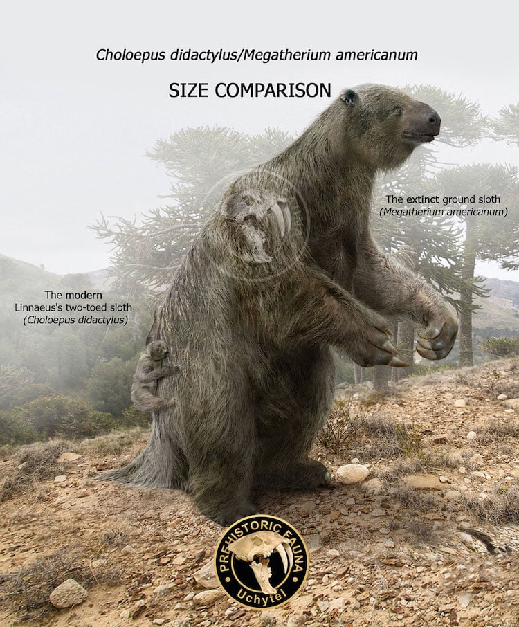sideblog for the siterunner of bogleech.com, Illustrations Show Size ... sideblog for the siterunner of bogleech.com, Illustrations Show Size ...