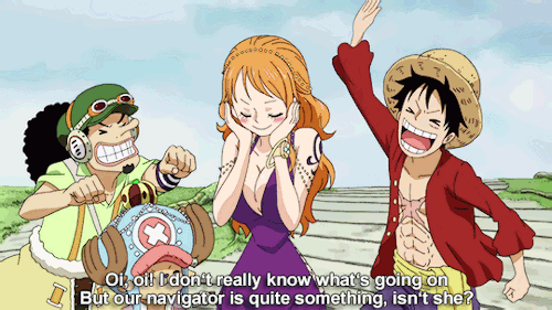 One Piece Luffy And Nami Moments