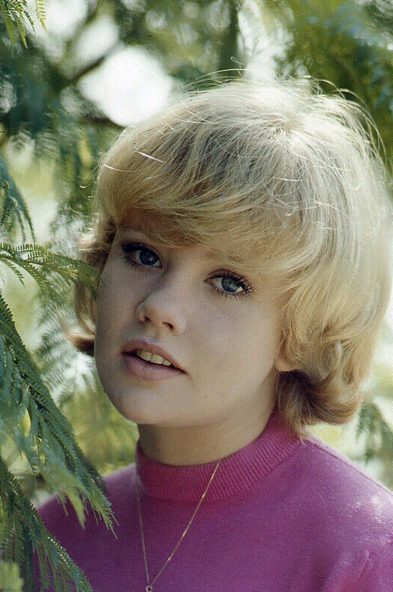 Beauty Never Dies — Hayley Mills Publicity Portrait For That Darn