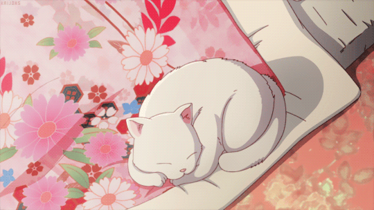 Details 74 Anime White Cat Latest Vn