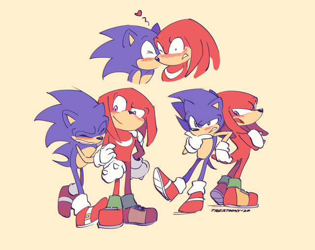 Sonuckles On Tumblr