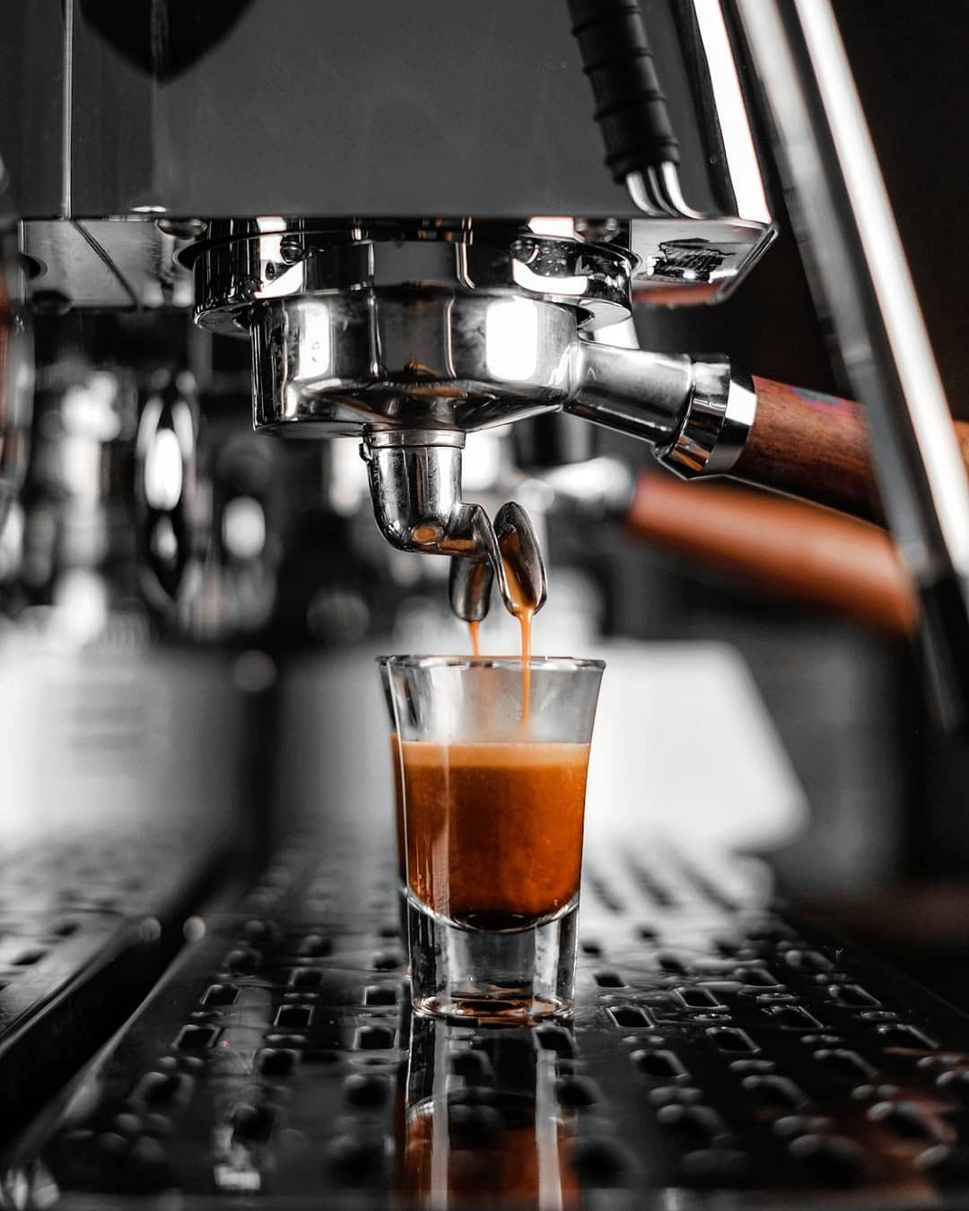 Fresh Brewed Life Fresh Brewed Life