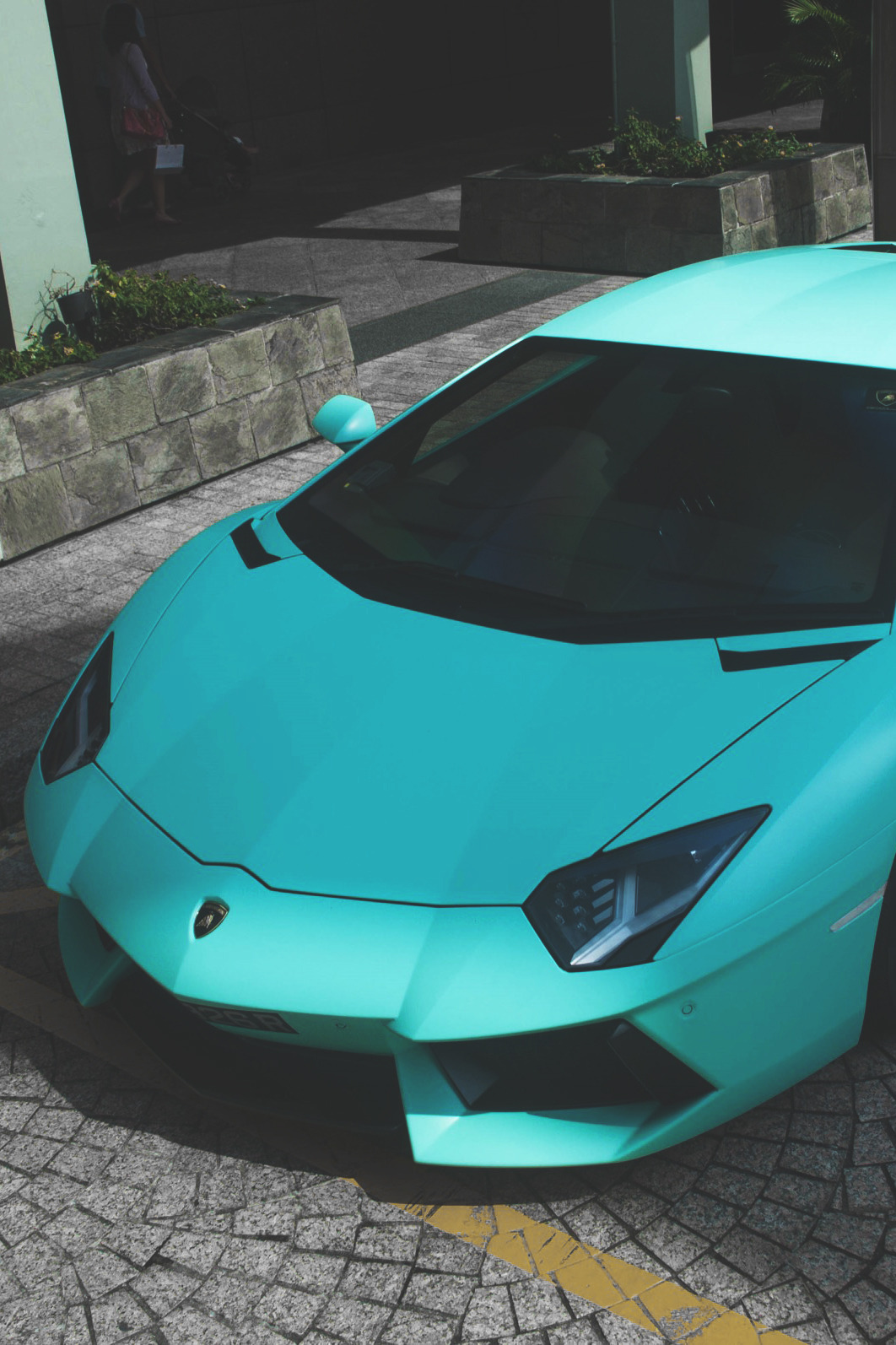In The Pursuit Of Sexy Cars