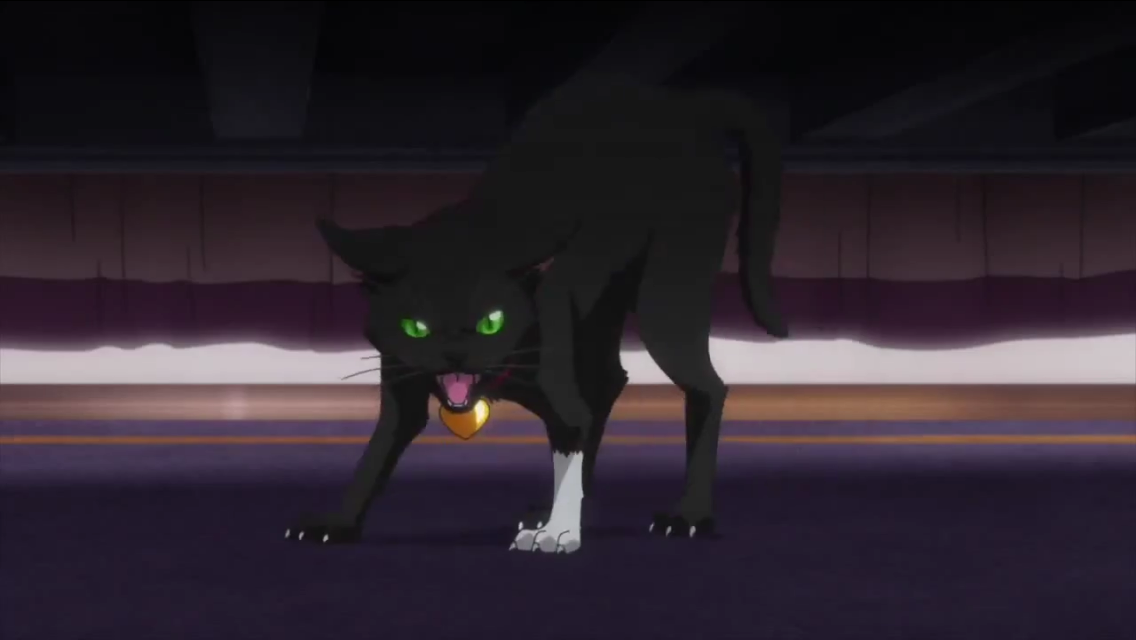 Todays Anime Cat Of The Day Is Eliza From Code Anime Cat Of The Day 🐾