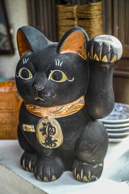 A Black Maneki Neko Lucky Cat Black Cats Are