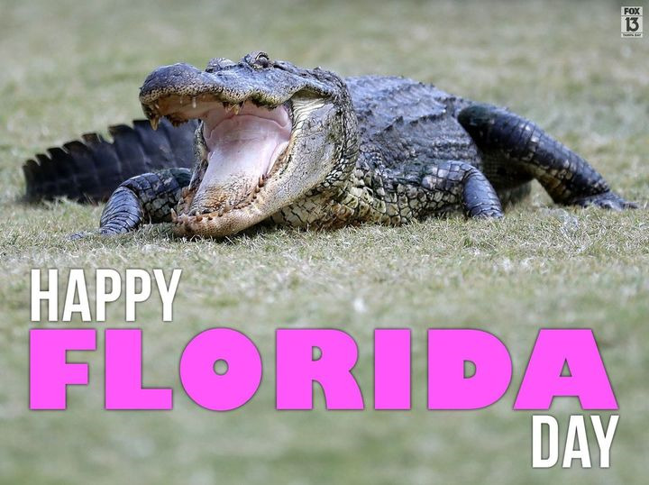 Image tagged with National Florida Day, January 25, Florida Day ...