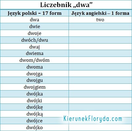 How complicated polish can be. – @sayit-inpolish on Tumblr How complicated polish can be. – @sayit-inpolish on Tumblr