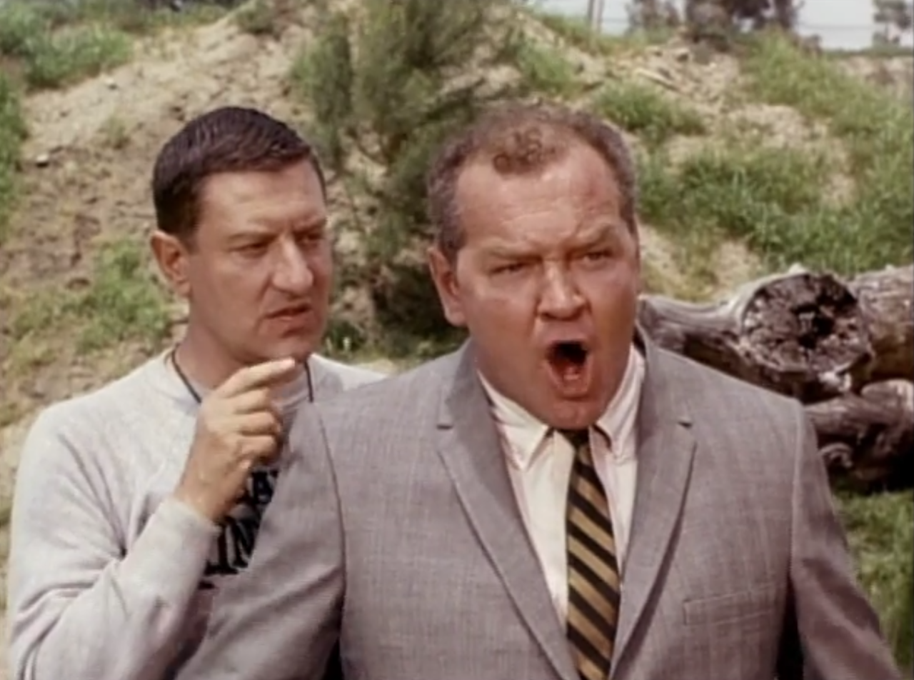 Showbiz Imagery And Forgotten History Character Actor Arch Johnson