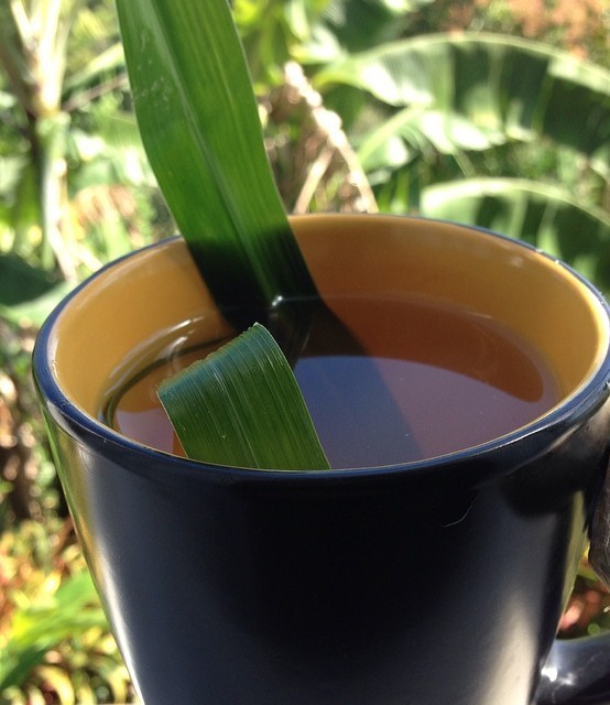 The Sweet Life Ja — Fever Grass Tea Fever Grass Aka Lemon Grass