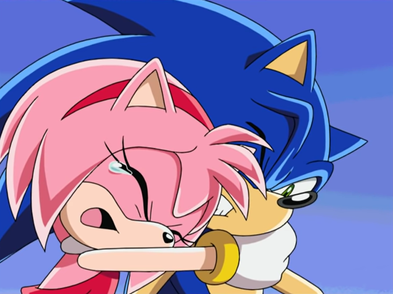 Sonic And Amy Hugging Sonic X