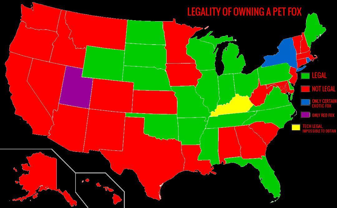 Legality of owning a pet Fox. - Maps on the Web Legality of owning a pet Fox. - Maps on the Web