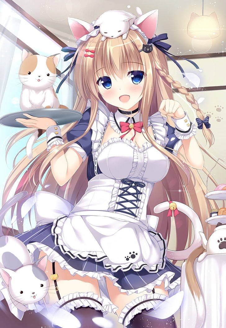 Neko Maid On Tumblr