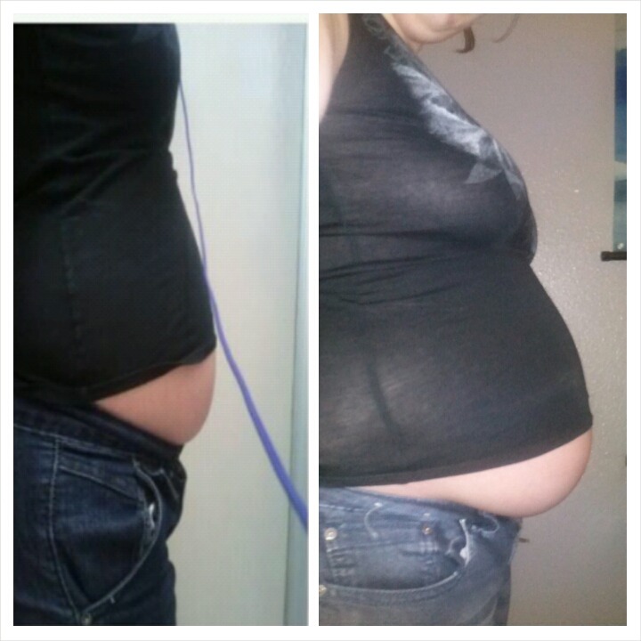 Fantastic Bellies And Where To Find Them Photo