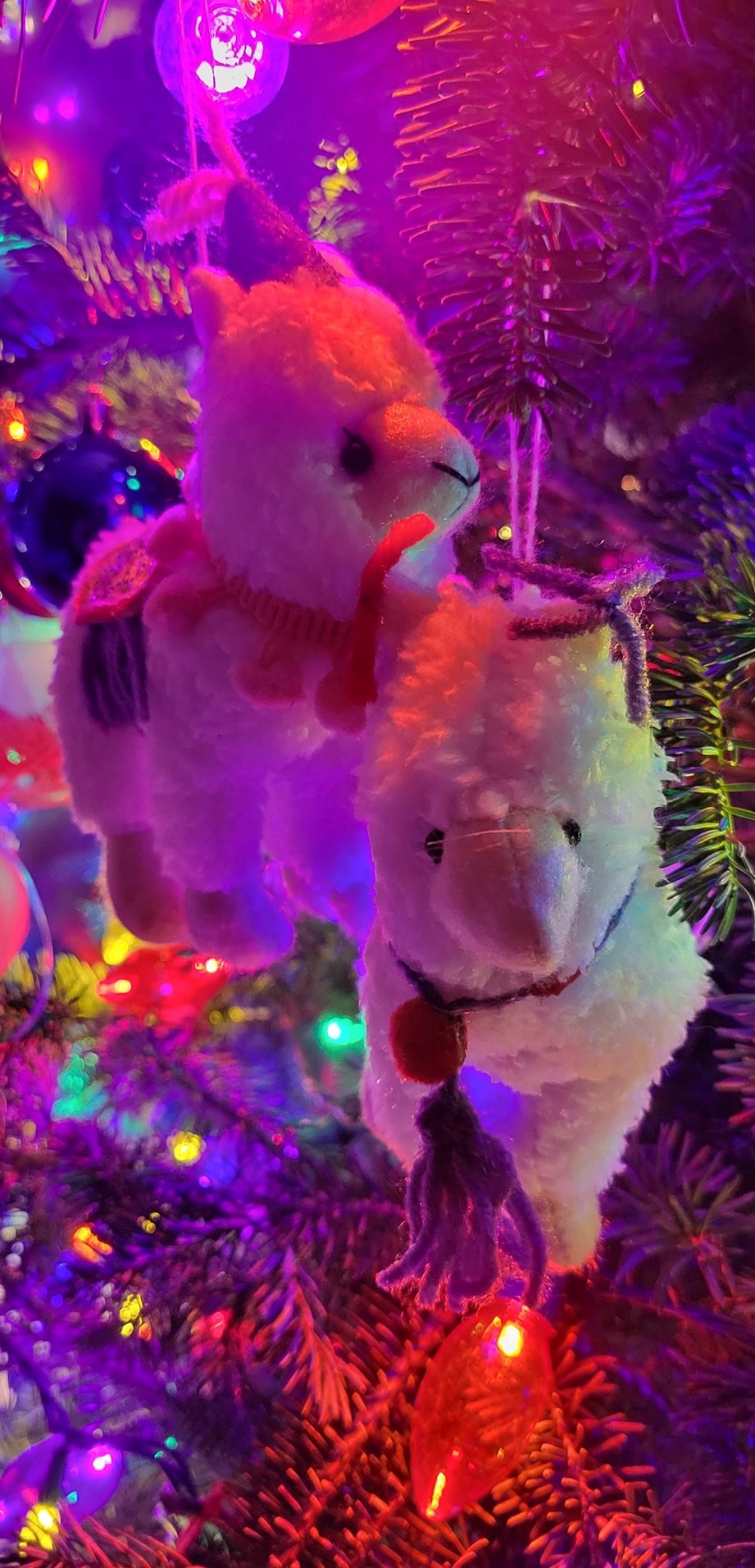 Hadrians View Our Christmas Tree 2022