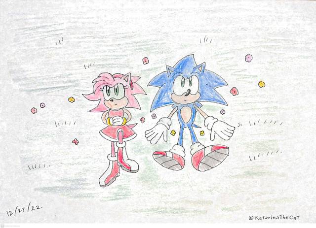 For © Katarinathecat © Segasonic Team Lightningblade1994 Blog On Tumblr