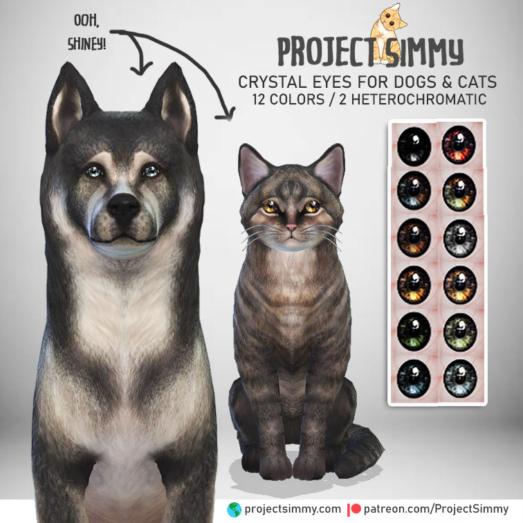 Project Simmy : Project Simmy - Crystal Eyes for Dogs & Cats Grab... Project Simmy : Project Simmy - Crystal Eyes for Dogs & Cats Grab...