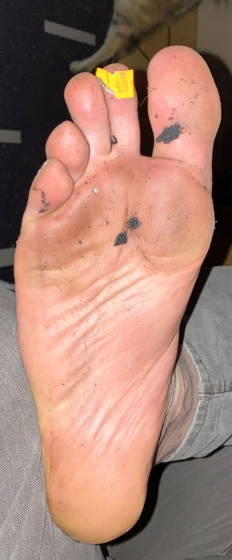Please Enjoy My 11sized Sweaty Stinkfeet Support Me If You Like My
