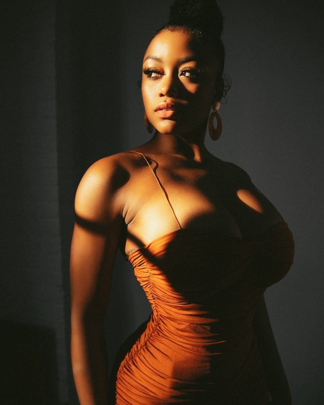 Brown Bunnies On Tumblr