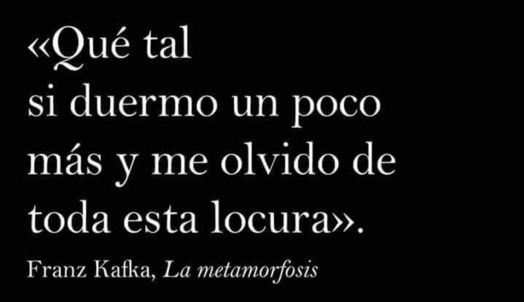 Total 49 Imagen Frases De Franz Kafka Metamorfosis Abzlocal Mx