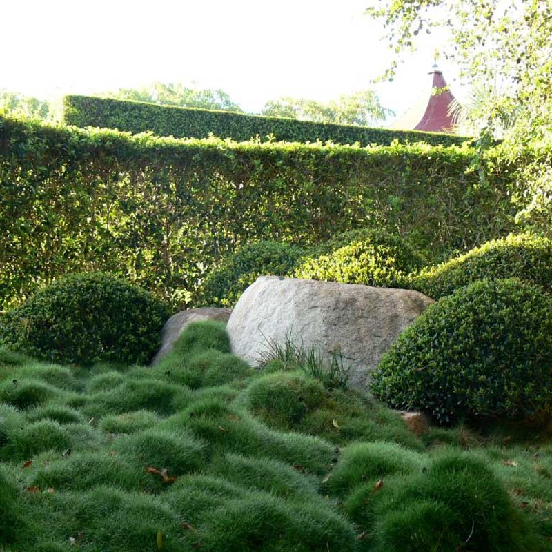 Landscape Focused Landscape Garden Design Ideas