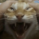 ☕Sofu☕ on Tumblr