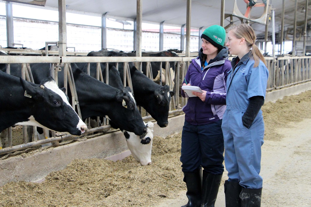 OVC Bulletin, Innovative dairy herd problem-solving rotation ... OVC Bulletin, Innovative dairy herd problem-solving rotation ...