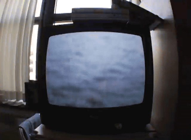 tallyhall.gif @tally-hall-gifs - Tumblr Blog | Tumlook tallyhall.gif @tally-hall-gifs - Tumblr Blog | Tumlook