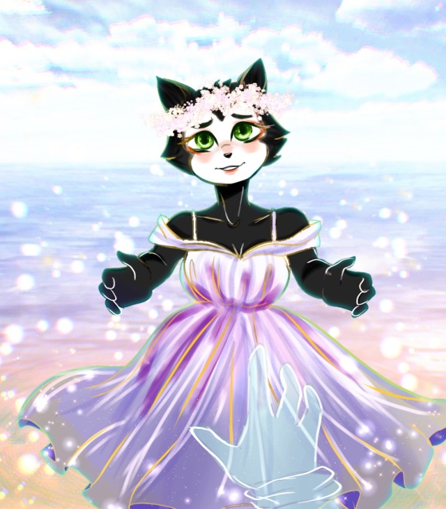 Ortensia The Cat On Tumblr