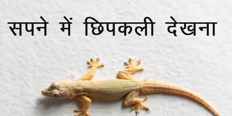 सपने मे छिपकली देखना Sapne Me Chipkali Dekhna Meri Baate