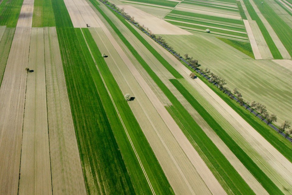 Typical Polish striped fields. Vicinity of... - lamus dworski Typical Polish striped fields. Vicinity of... - lamus dworski