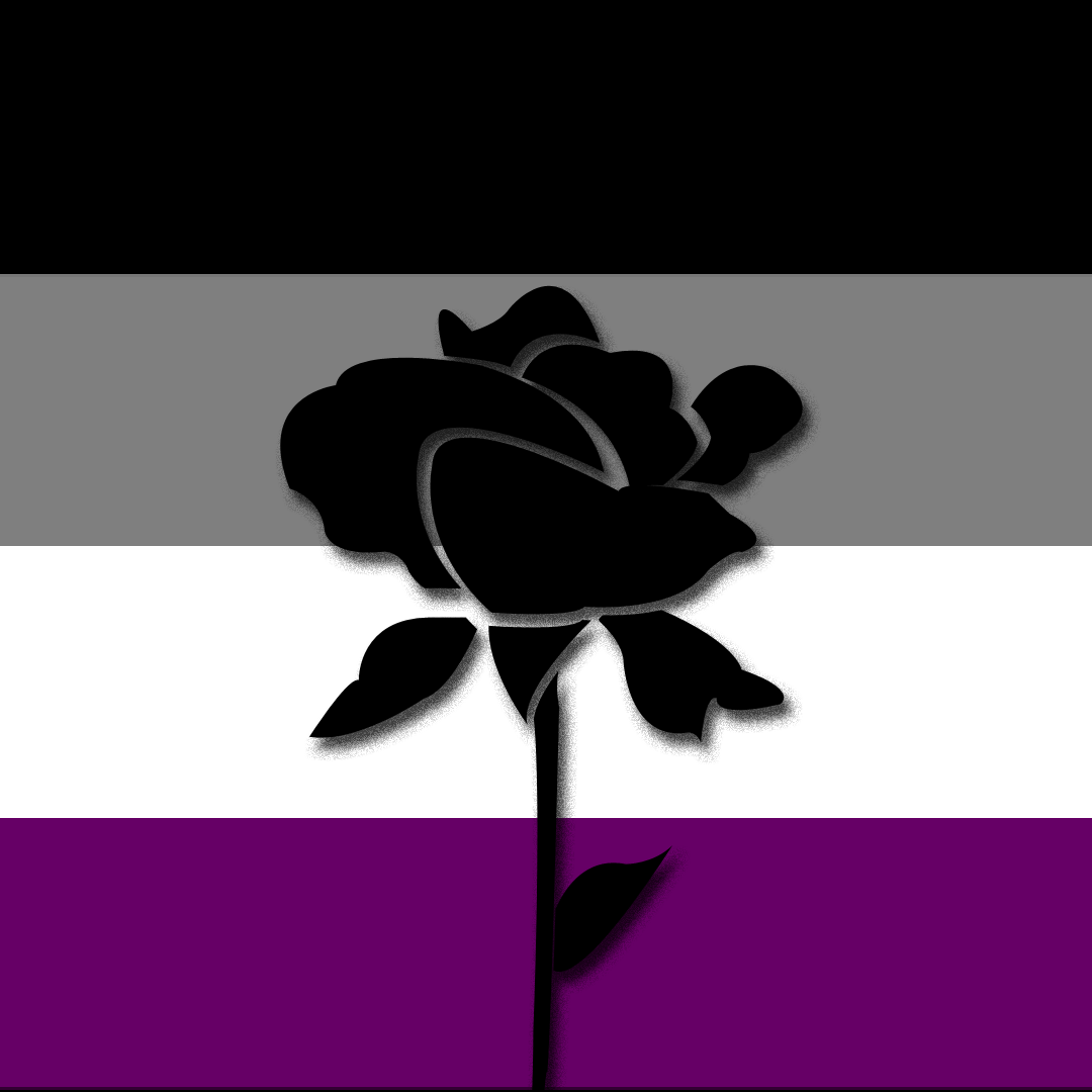 Image Description The Asexual And Aromantic Pride Flags With Black