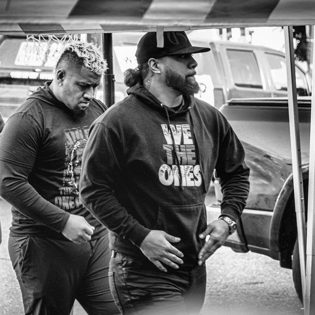 The Fatu Brothers On Tumblr