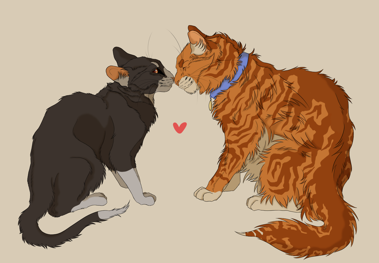 Talltail X Jake Tumblr