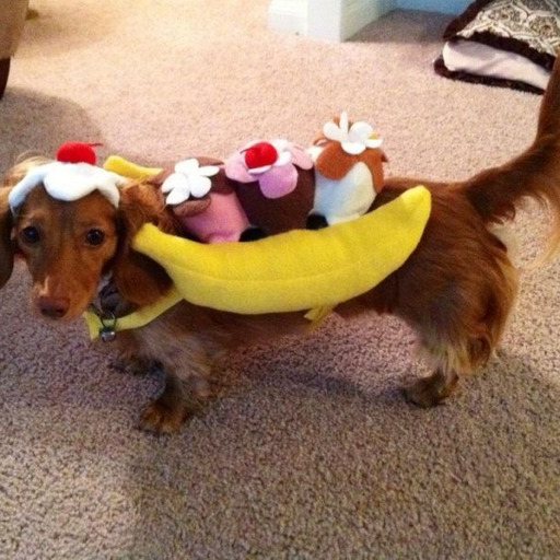 Seaj @spadiddle - Tumblr Blog | Tumlook