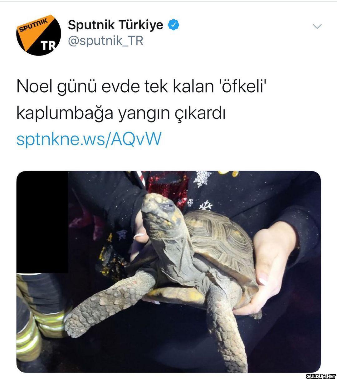 Some men just want to watch the world burn Sputnik Türkiye TR @sputnik ... Some men just want to watch the world burn Sputnik Türkiye TR @sputnik ...