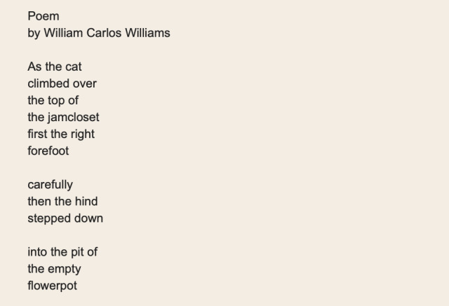 #william carlos williams on Tumblr